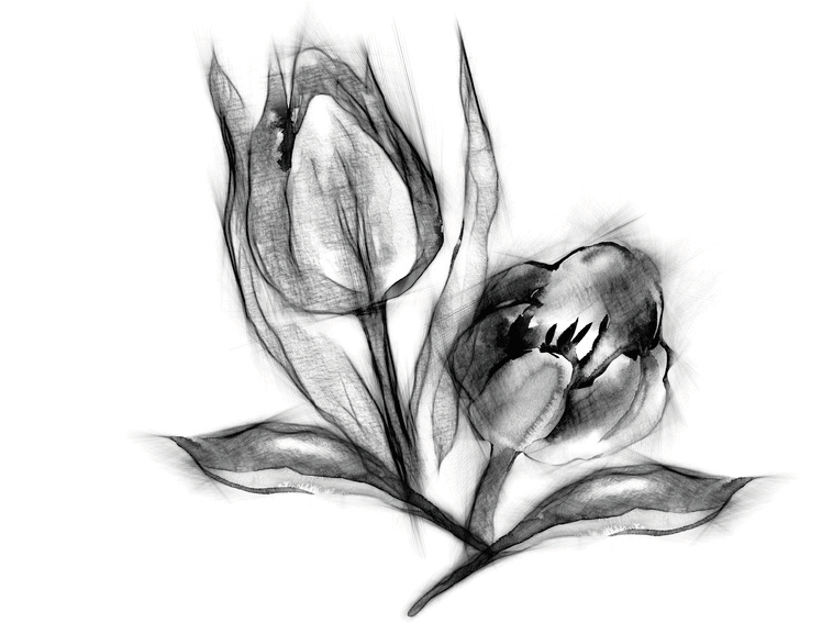 Trauer um Professor Dr. Gunter Heeb - DHBW Villingen-Schwenningen